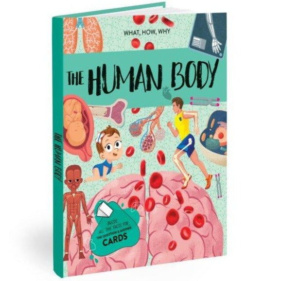 Sassi What How and Why The Human Body Book and Poster – Love To Spoil
